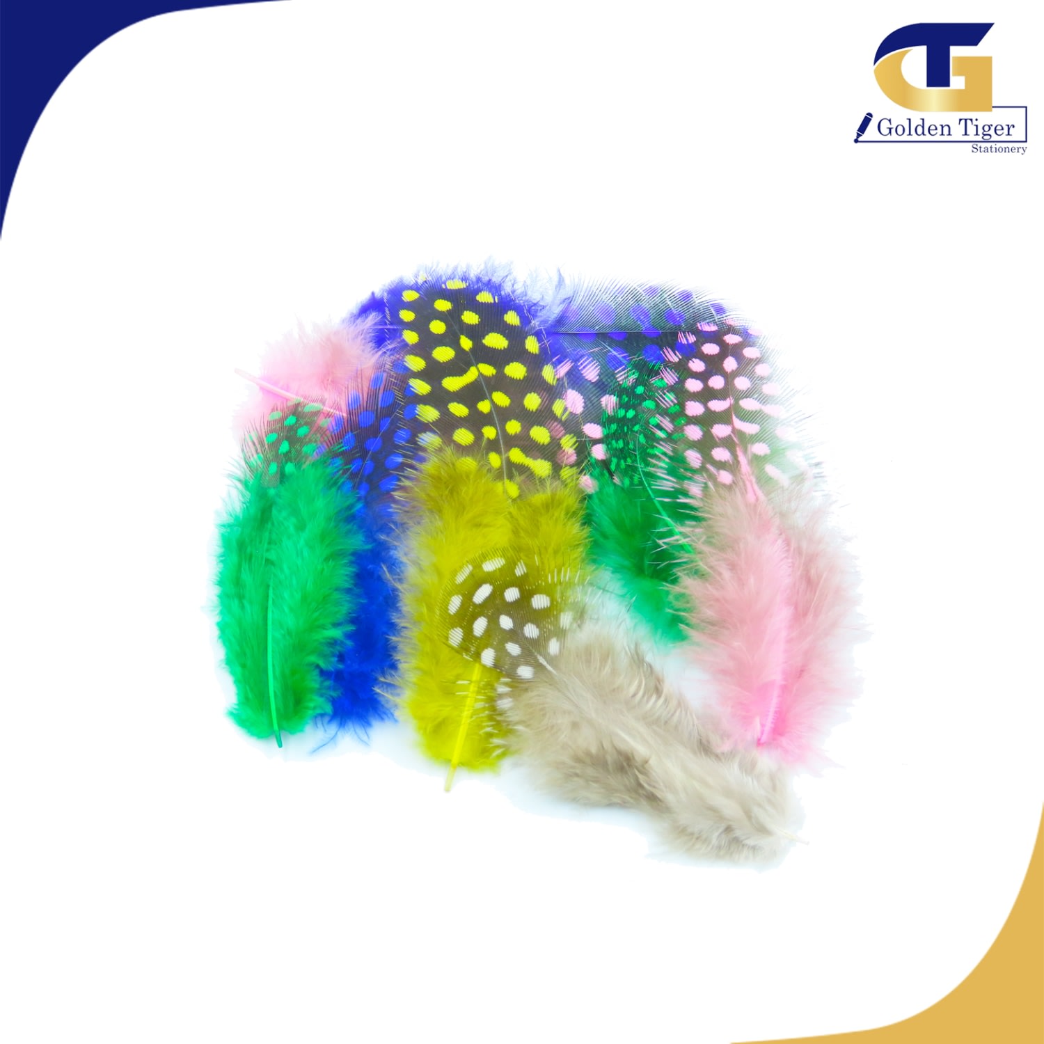 Color Feather 18pcs (Stripe) | Golden Tiger Stationery Store